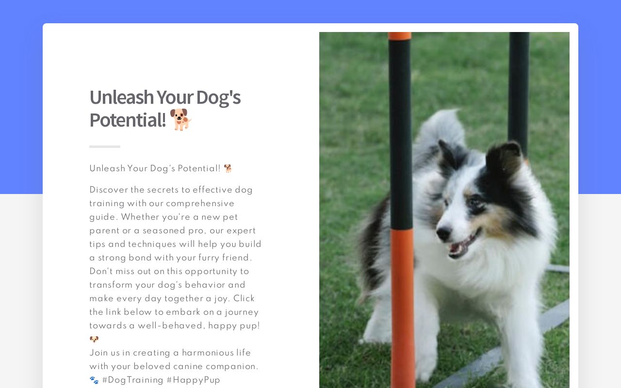 Unleash Your Dog's Potential! 🐕